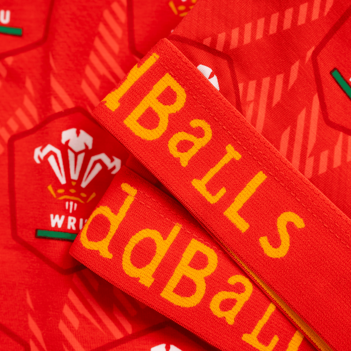 Welsh Rugby Union Flames - Ladies Boxers