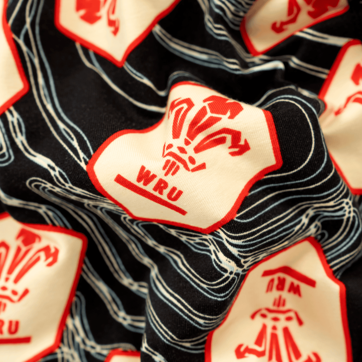 Welsh Rugby Union Alternate 25 - Kids Boxer Shorts - Goolie